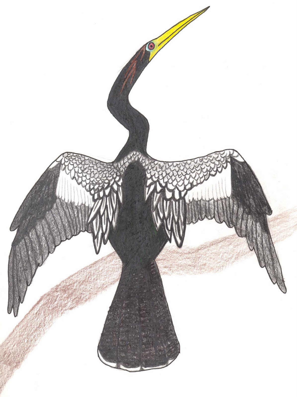 The Disillusioned Taxonomist: September 2010