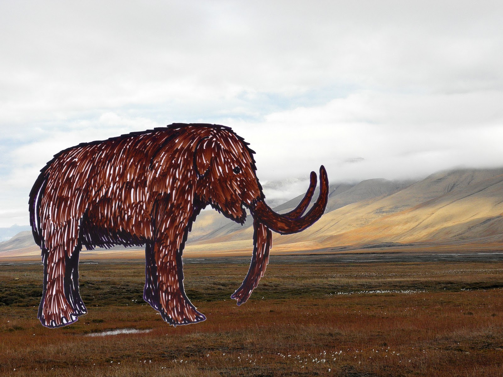 ART Evolved: Life's Time Capsule: Drawing Mega-Mammals