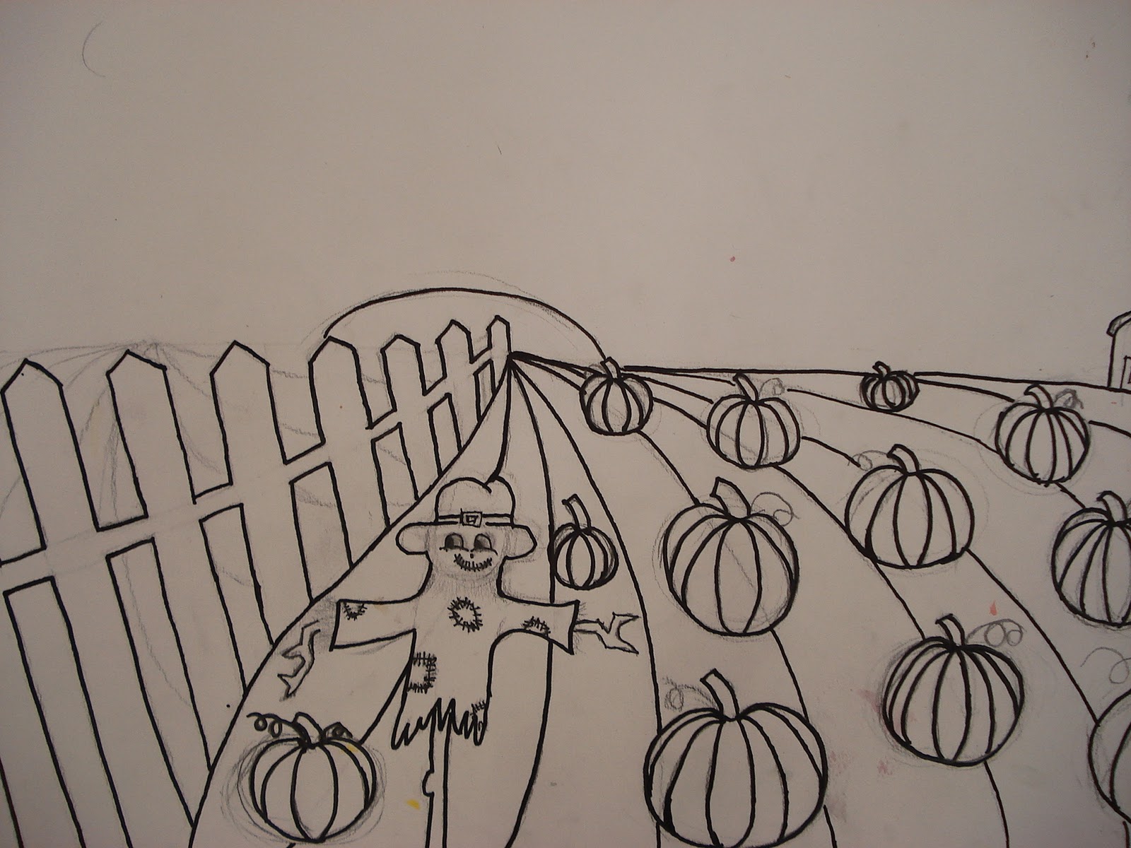 Pumpkin Patch Sketch
