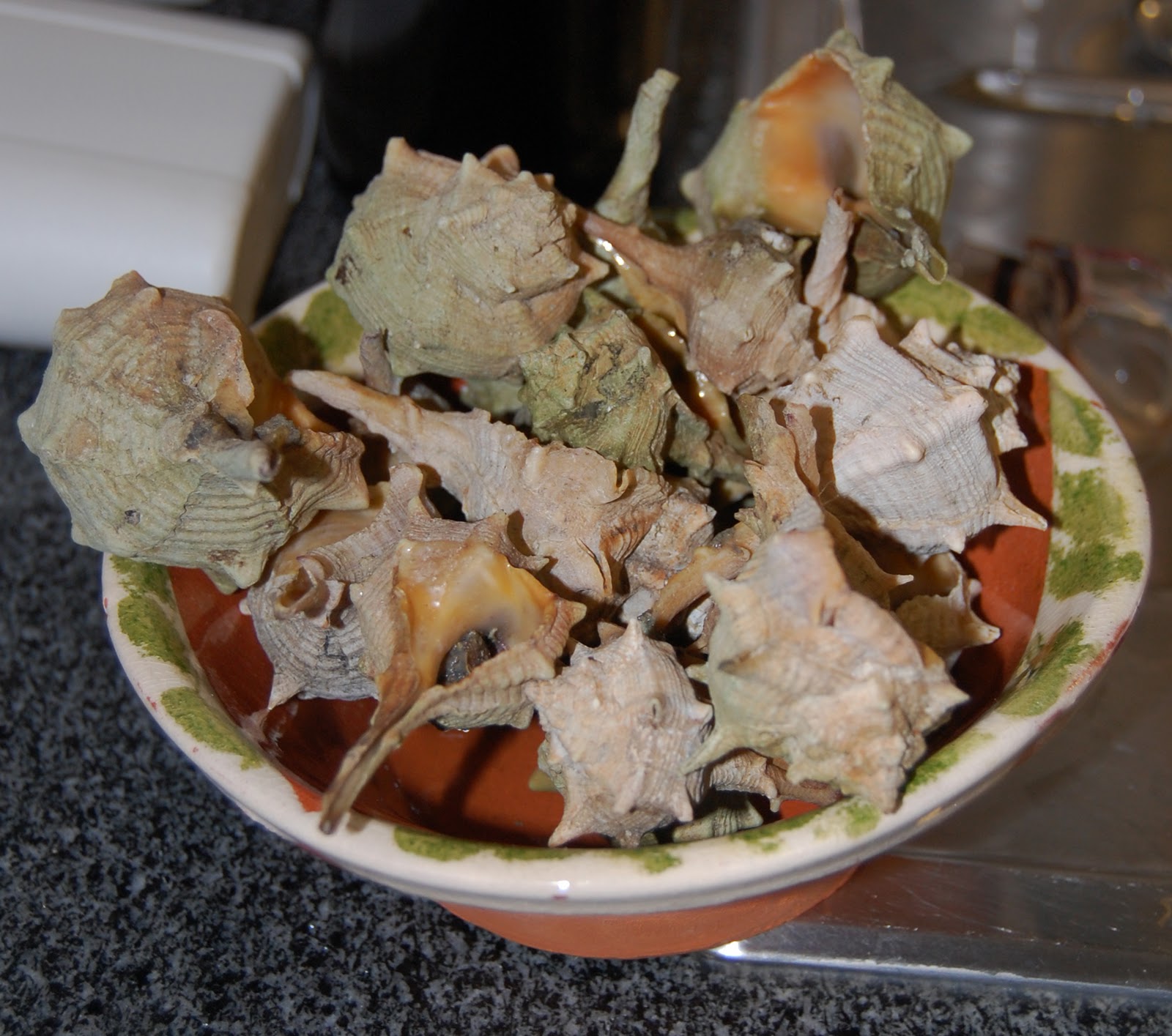 Casa_de_Pasto: 2010