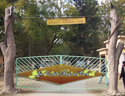 Senthilnath G T's Travel Log: A Jaunt to Jim Corbet National Park