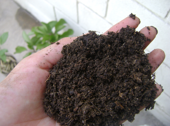 Los Huichis: La composta, una tierra nutritiva!