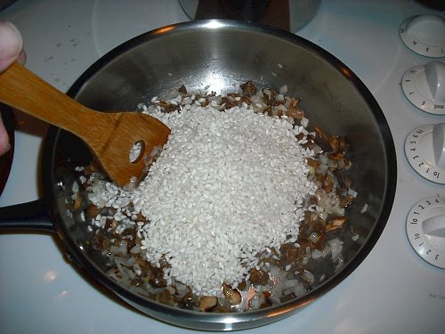 Culinary Alchemy: Fungus Among Us - Risotto alla Funghi Porcini