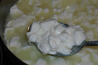 Culinary Alchemy: Whey to Go, Curds!!!! - Mozzarella Mania part 2