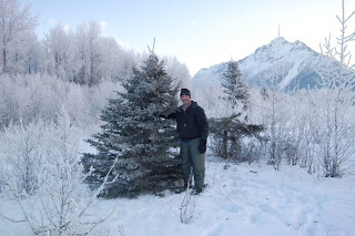 Where's My Jetpack?: How They Get Their Christmas Trees in Alaska