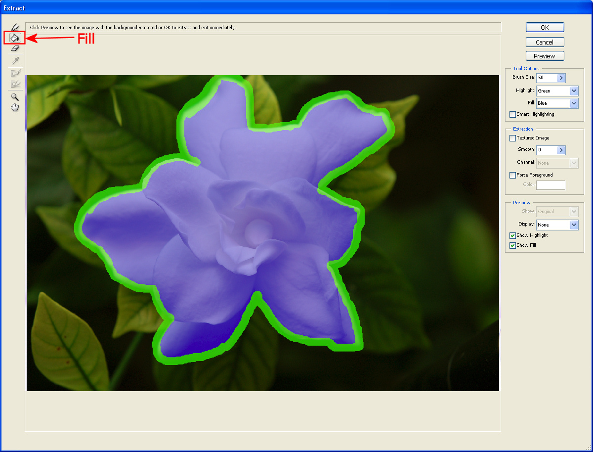 Humbug Graphics Galore: Removing Background in Photos