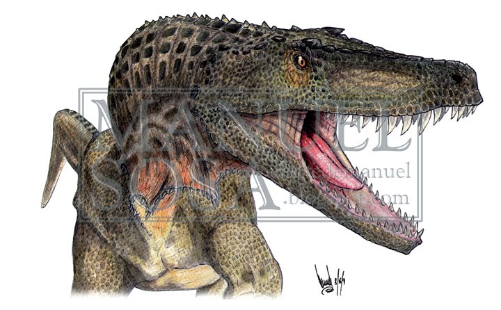 Fasolasuchus