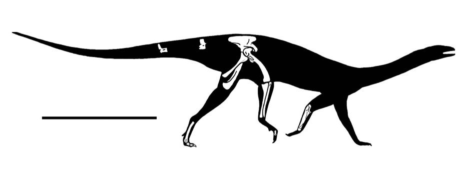 Paleosur: Chromogisaurus novasi, a new early dinosaur