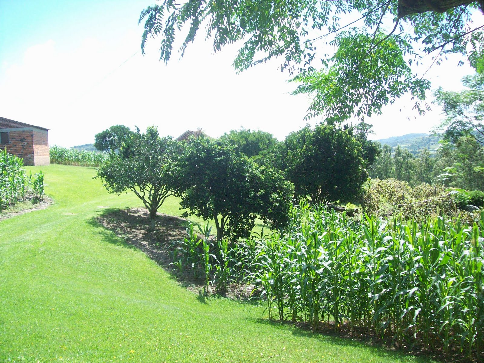 Zona Rural: Pequena propriedade rural