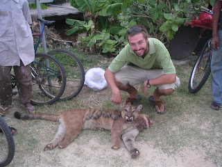 The Fun That Was Peace Corps Guyana - Mark's Blog: WARNING! Puma in ...