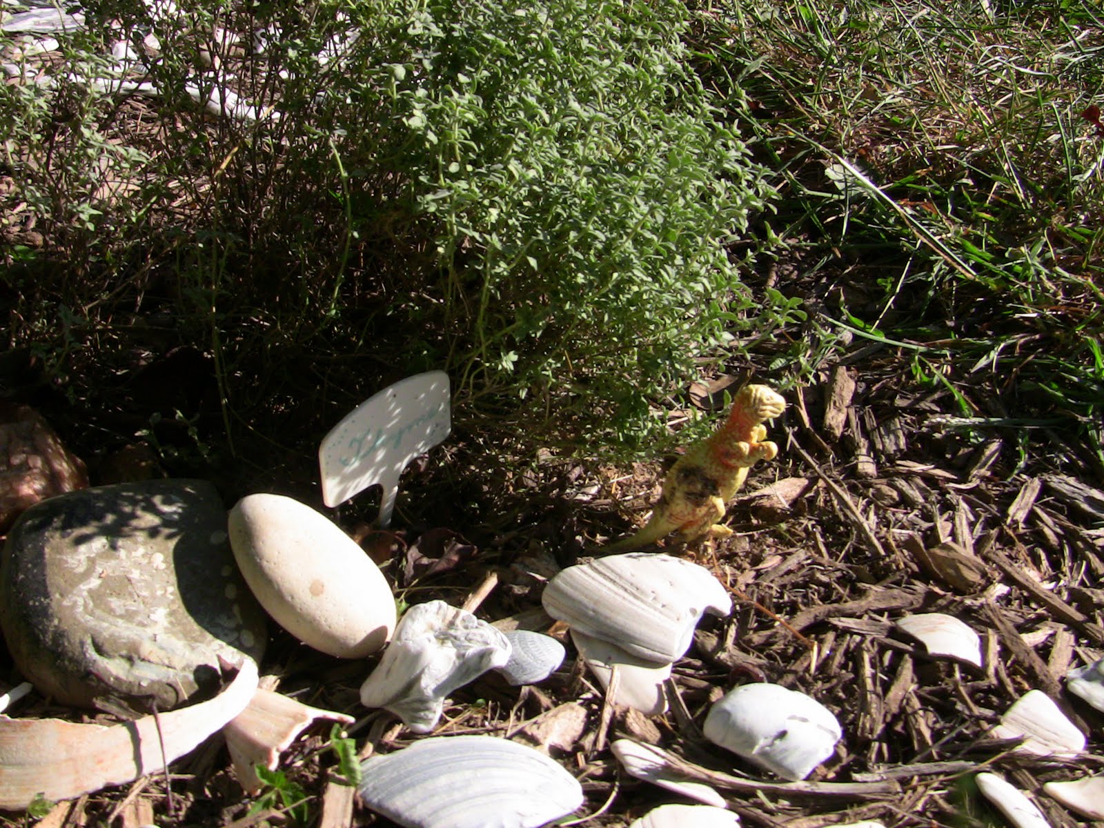 Apple Falls: Seashell Sidewalks