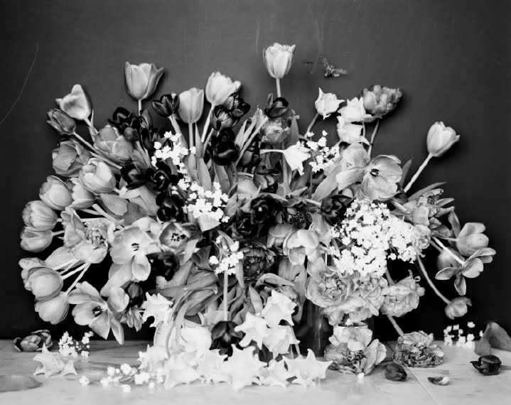 i heart photograph: thomas hauser