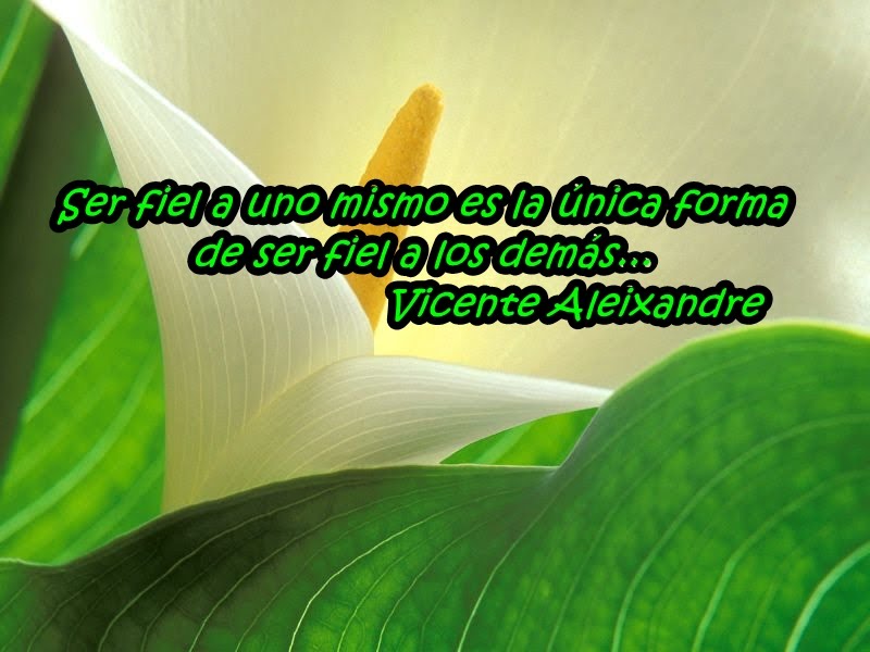 Mis mejores frases...: ser fiel...