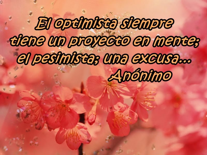 Mis mejores frases...: el optimista...