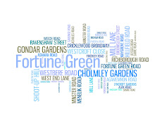 Fortune Green Spotlight: The misfortunes of Fortune Green