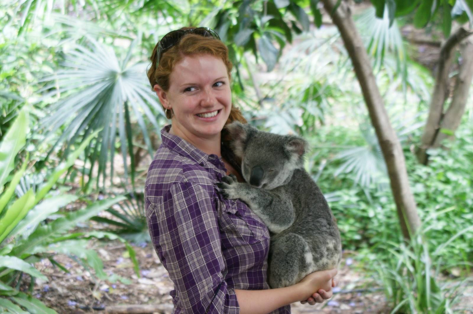 adventures of a wandering ginger: Brisbane Part 5: Koala Cuddling