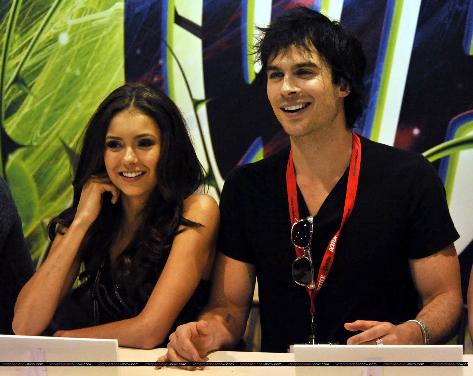 The Vampire Diaries: Comic Con 2010 Panel | Lost In A FlashForward