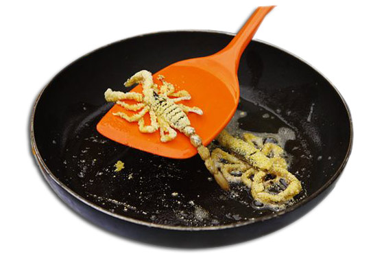 earwig sandwich: Slugs and Snails