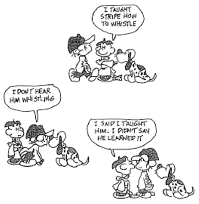 Mr. Wiemers' Shop: Triangulation of Education in Cartoon Form