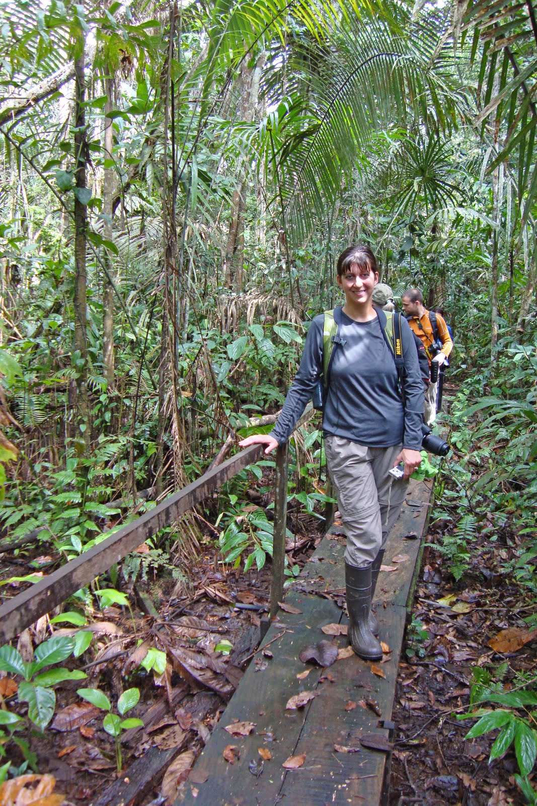 Traveling Teacher Online!: Hiking the Trails in the Rainforest