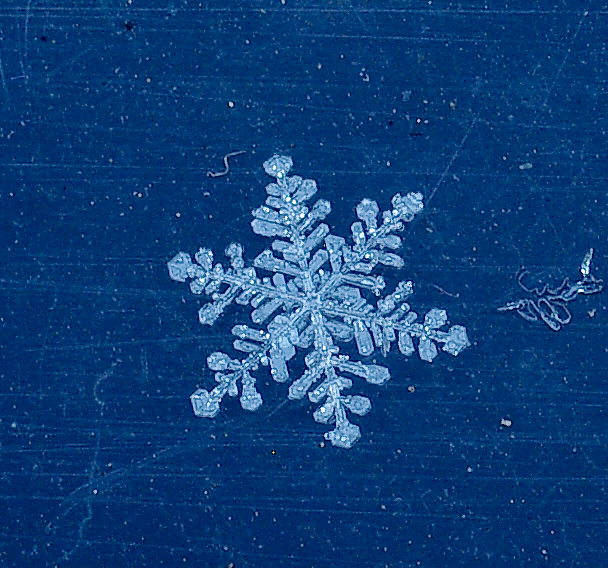 Sauliusfoto: Snaigės