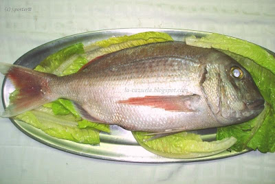 Pargo al horno