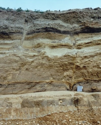 cryology and co.: Fossil Ice wedge casts