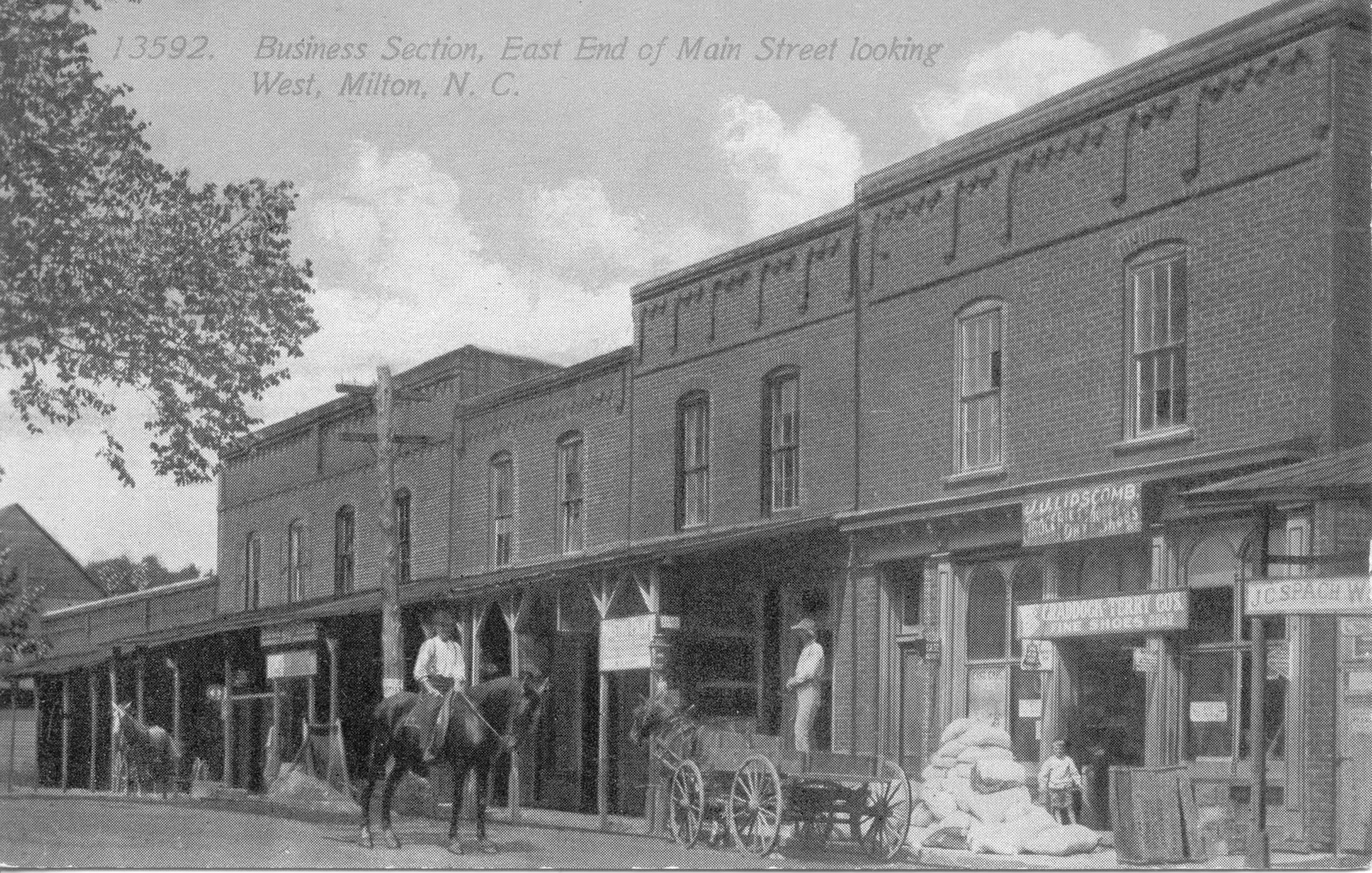 Caswell County North Carolina: 19th Century Milton, N.C., Revealed in ...