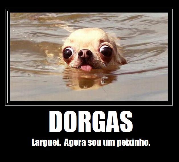 Memes gargalhando: Chega de dorgas....
