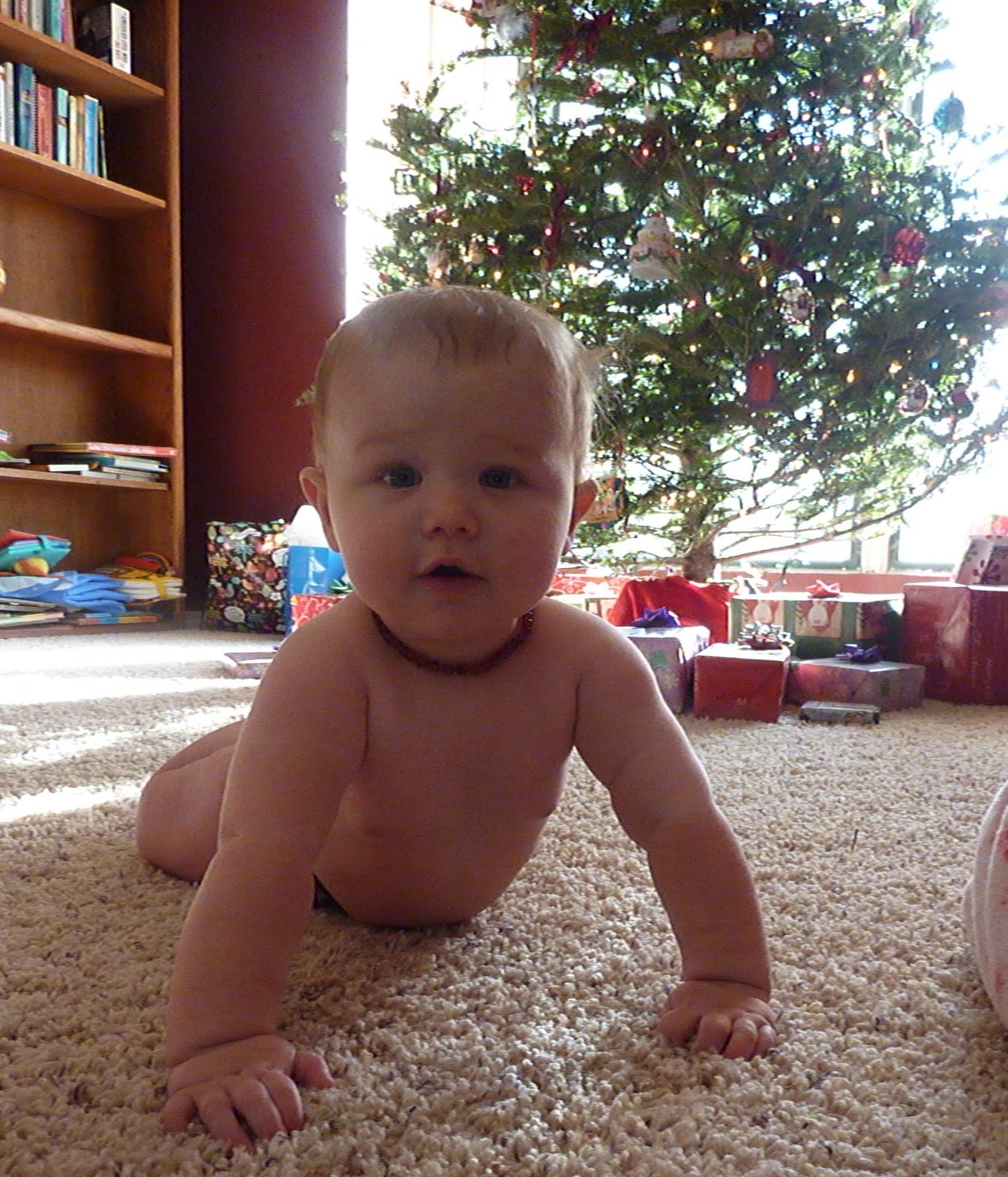 Adventures Of The Ebenhack s Noah 9 Months adventures-of-the-ebenhack-s-noah-9-months
