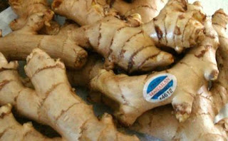 Hilo Living Blog: The health benefits of Hawaiian Ginger