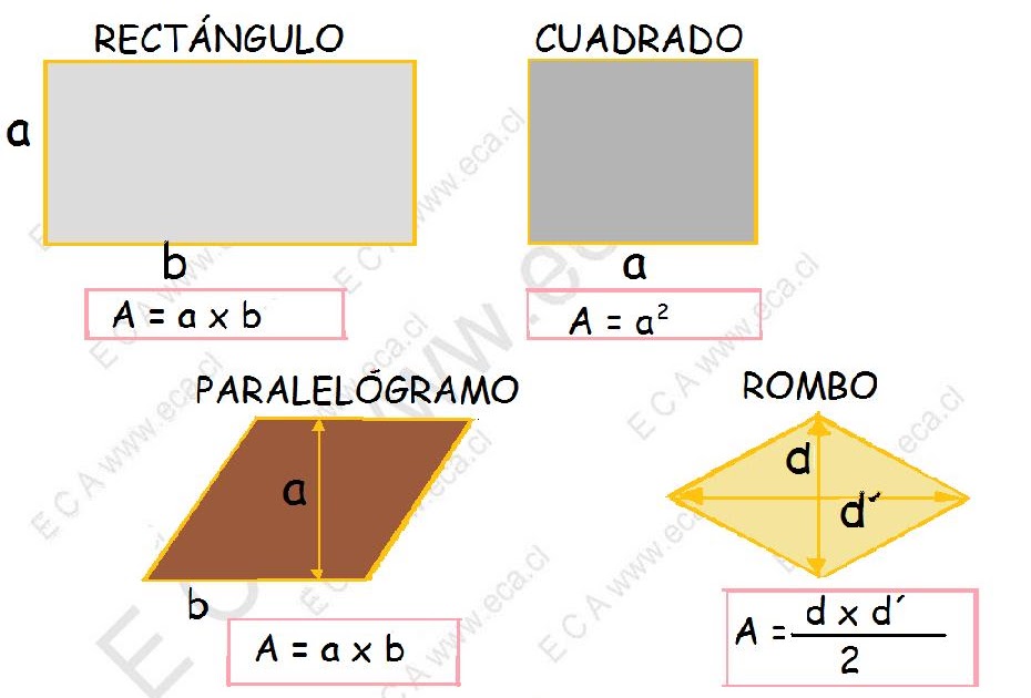 GEOMETRÍA ELEMENTAL ECA: Paralelógramo