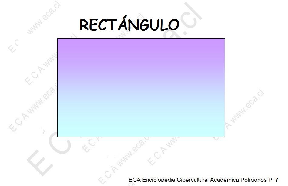 VALENTINA MANDIETA V: RECTÁNGULO