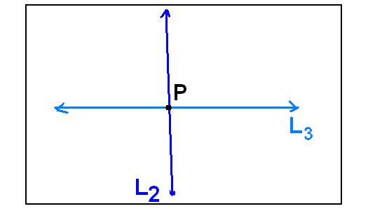 Guillermo Grass : LÍNEAS PERPENDICULARES