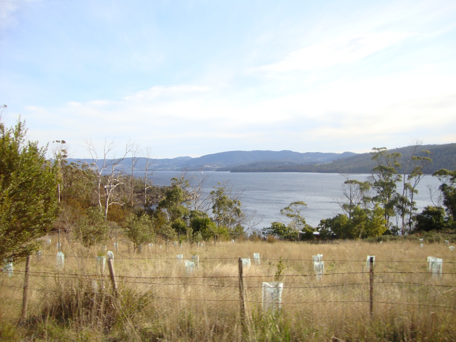 Tasmania-bound: “Manifold Gifts of Place”