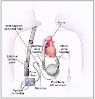 Philosophy, Ethics, and Humanities in Medicine has a review/discussion ...