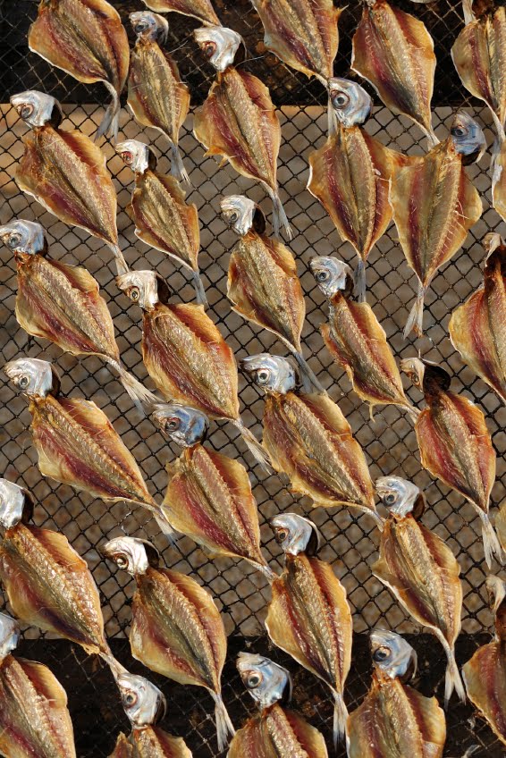 Sete Saias: PEIXE SECO - SALAZÓN, DRIED FISH OU HIMONO