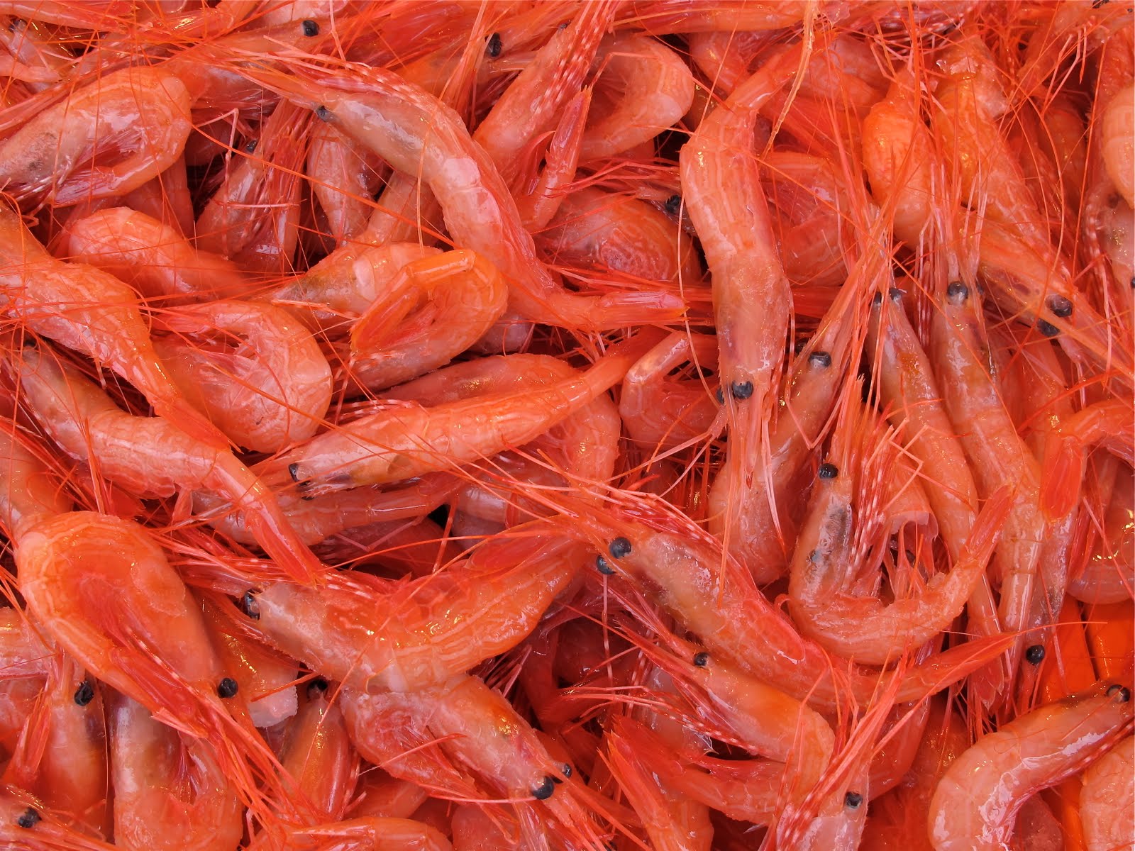 Beautiful Vancouver , Canada: Fishermen's Wharf , Stevenson , Richmond ...