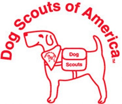 Humane Society Silicon Valley Blog: Meet Dog Scout Troop No. 198