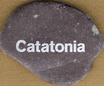 Imágenes de la psiquiatría: 156. La Catatonia. 1) Prolegómenos.