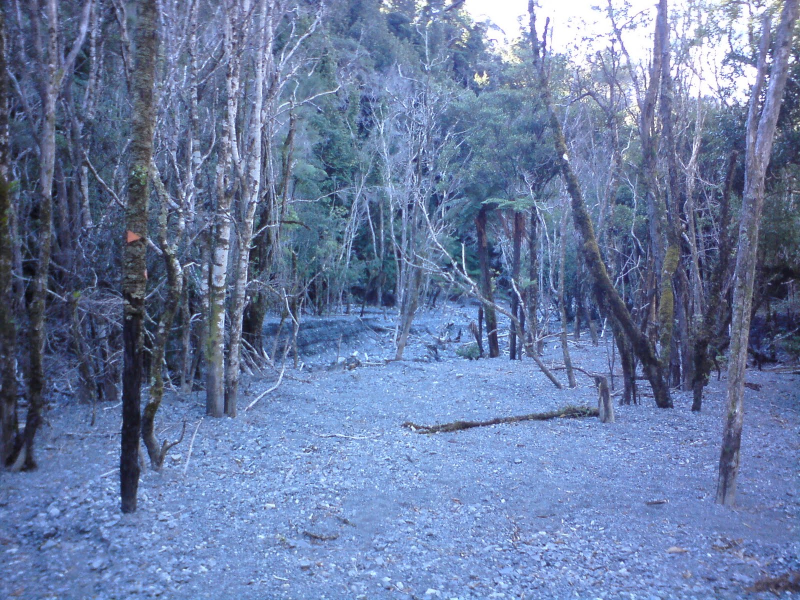 Sifter Goes (Bike) Riding: Mounting Mount Matthews