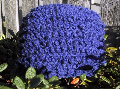 Suzies Stuff: BLUEBERRIES CAP