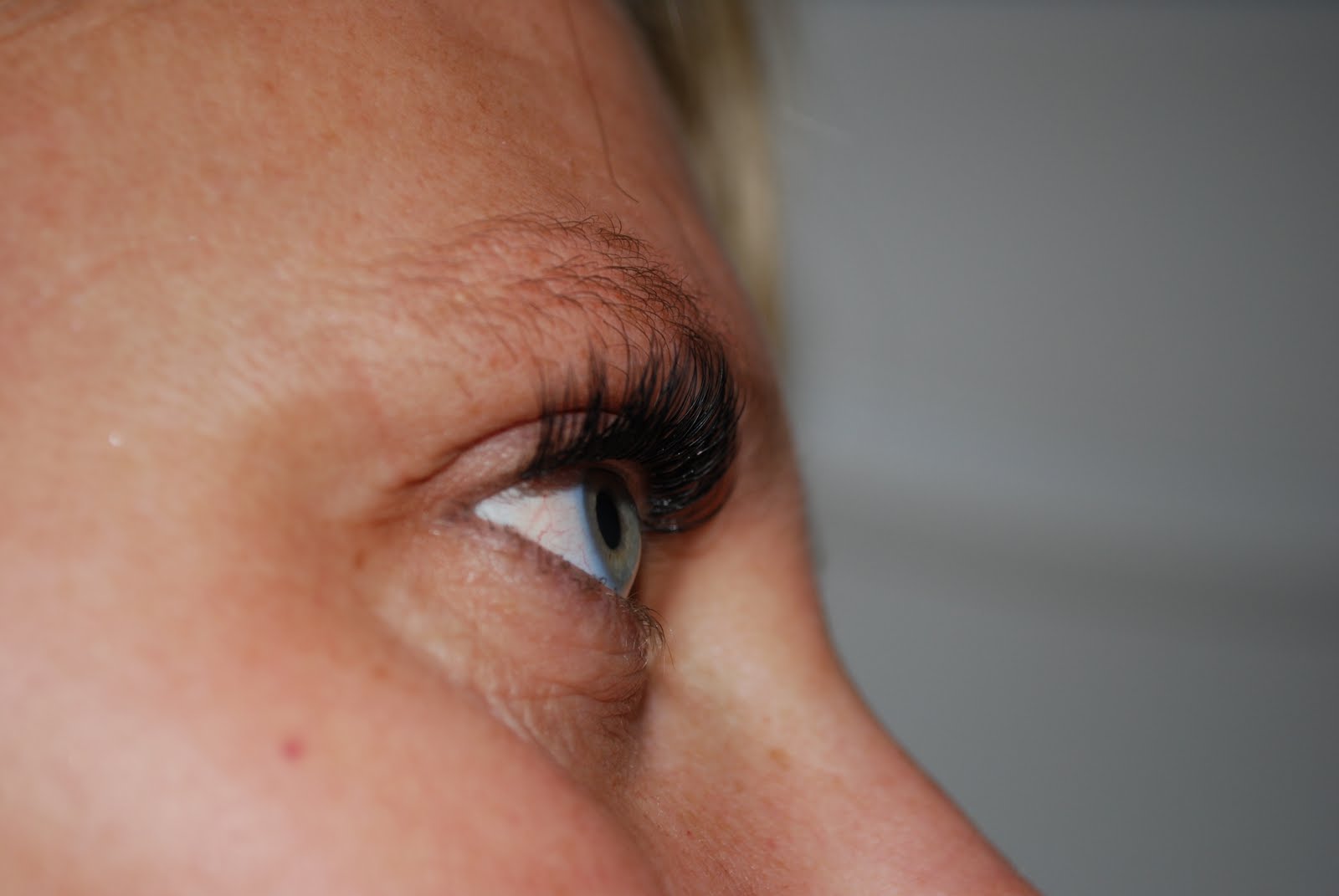 Professional Single-Lash Volume and Classic Eyelash Extensions in SLC ...