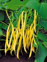 les-potagers.blogspot.com