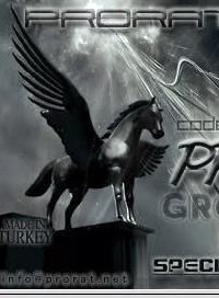 PR[K]Q Hacking!: How to Take Control of Someone's Computer Remotely