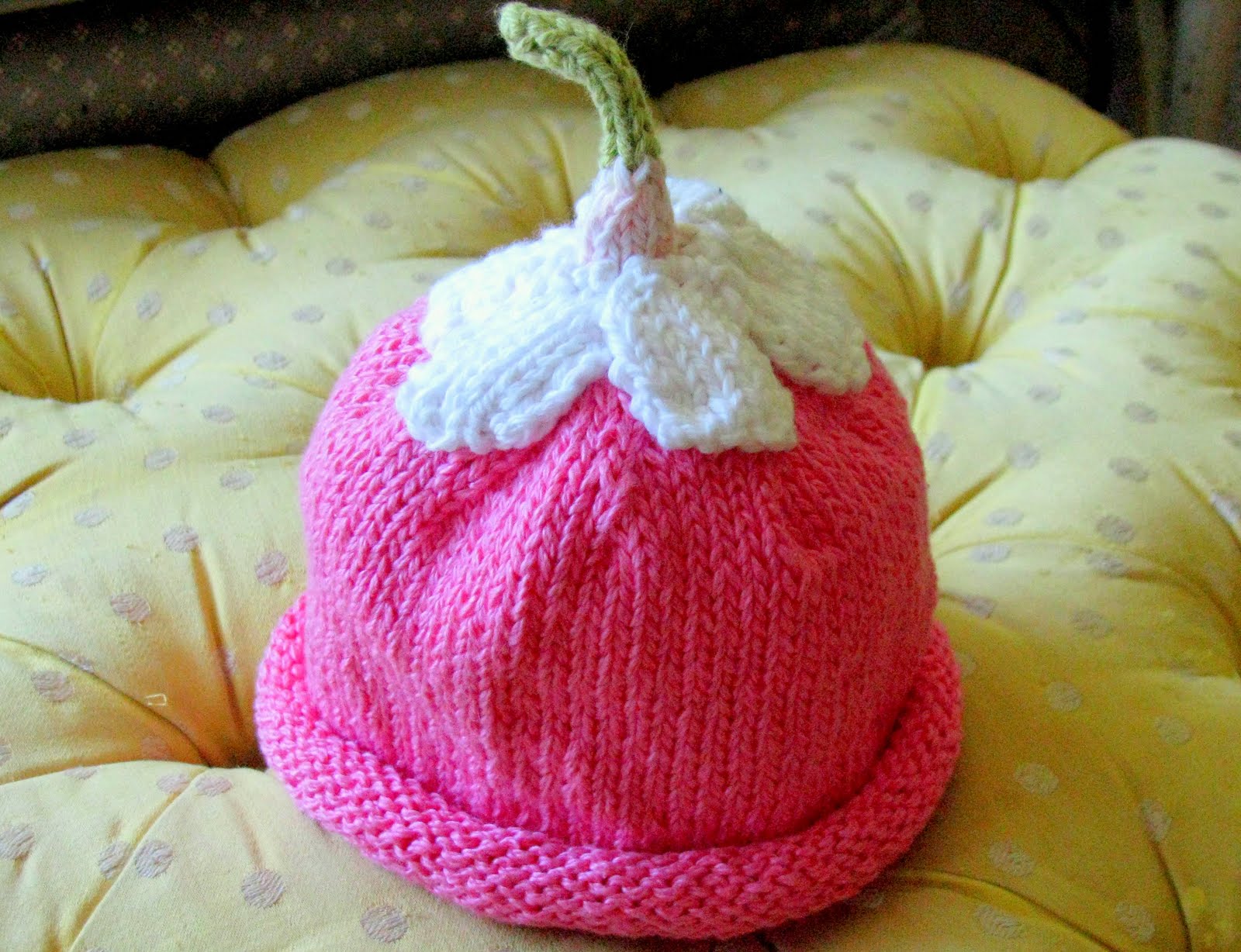 A Schott Of Class Itty Bitty Cuteness