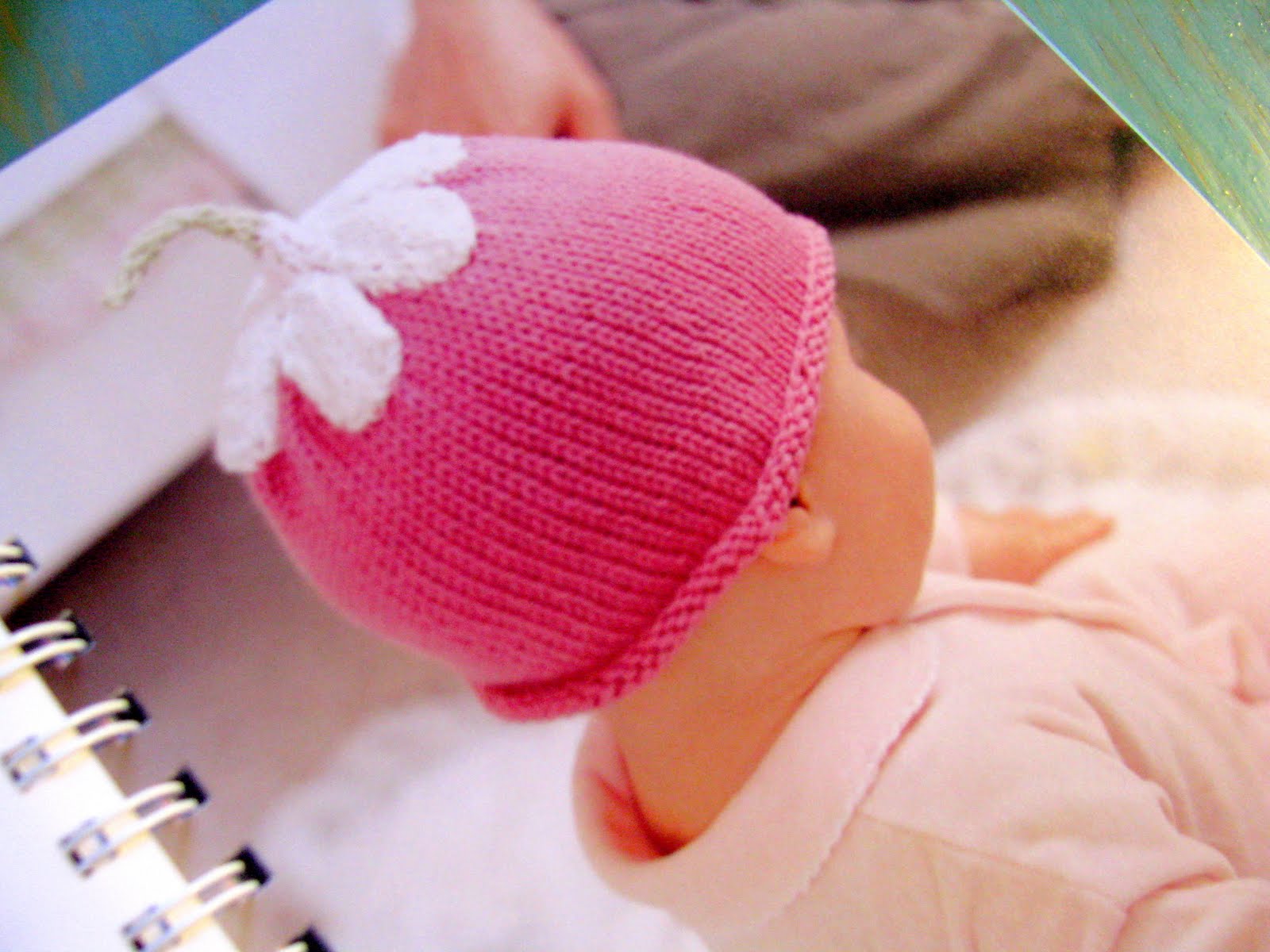 A Schott Of Class Itty Bitty Cuteness
