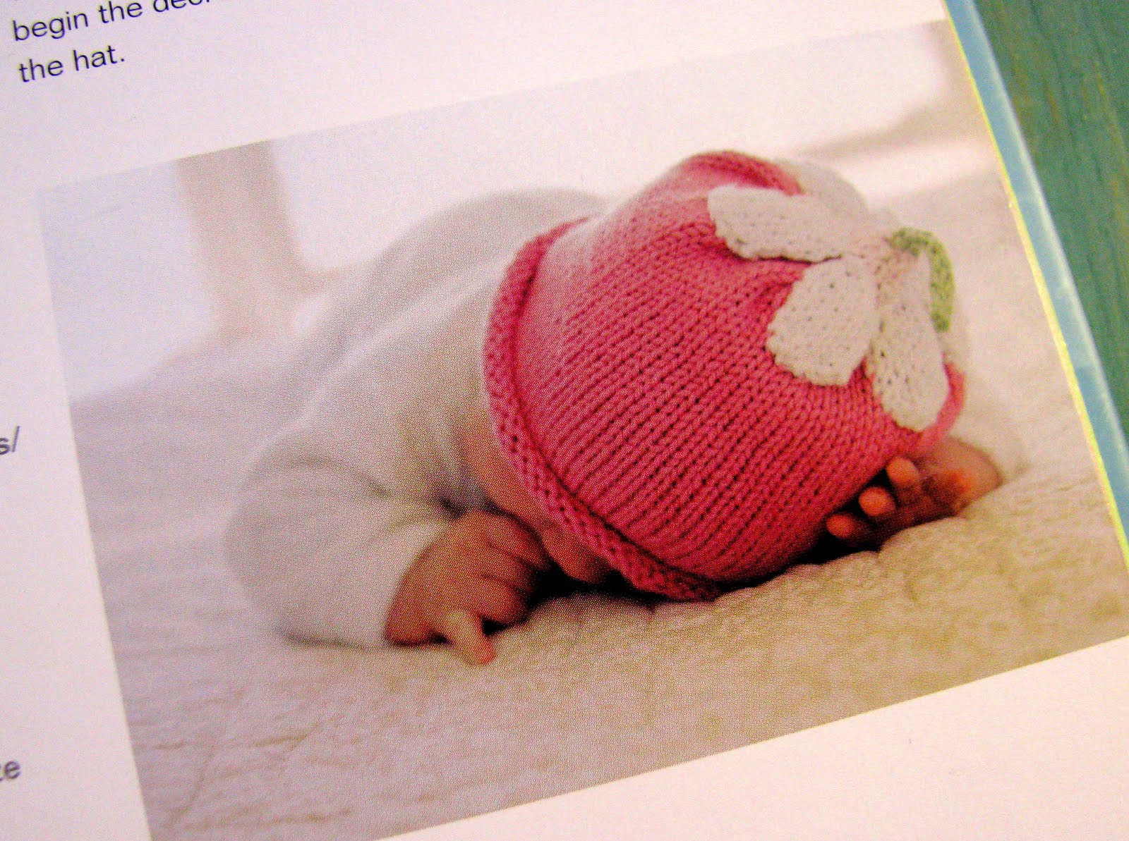A Schott Of Class Itty Bitty Cuteness