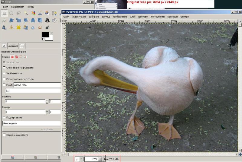 Уроци на фотошоп, GIMP, MS Office, Scratch, HTML&CSS: Отваряне на документ в програма GIMP и ...