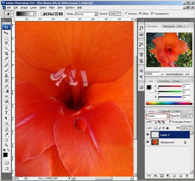 Уроци на фотошоп, GIMP, MS Office, Scratch, HTML&CSS: Kaк да направим водна капка върху ...